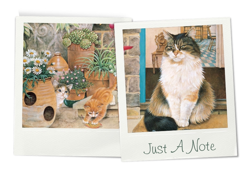 Beautiful Notelets plus all types of celebration, Anniversary and ...